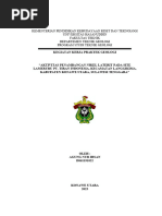 Karakteristik dan Pemanfaatan Dolomit | PDF | Seni | Sains & Matematika