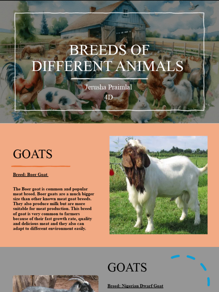 Breeds of Different Animals, Agri Sciene Project 2024 | Download Free ...