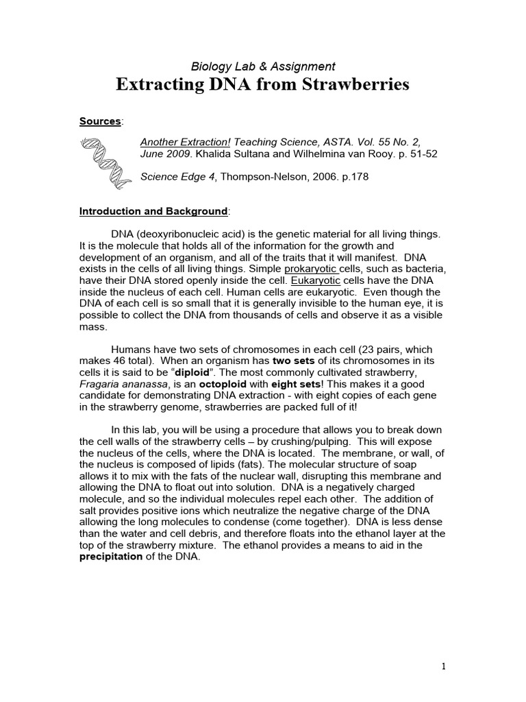 DNA Extraction Lab - Strawberries | PDF | Cell (Biology) | Organisms