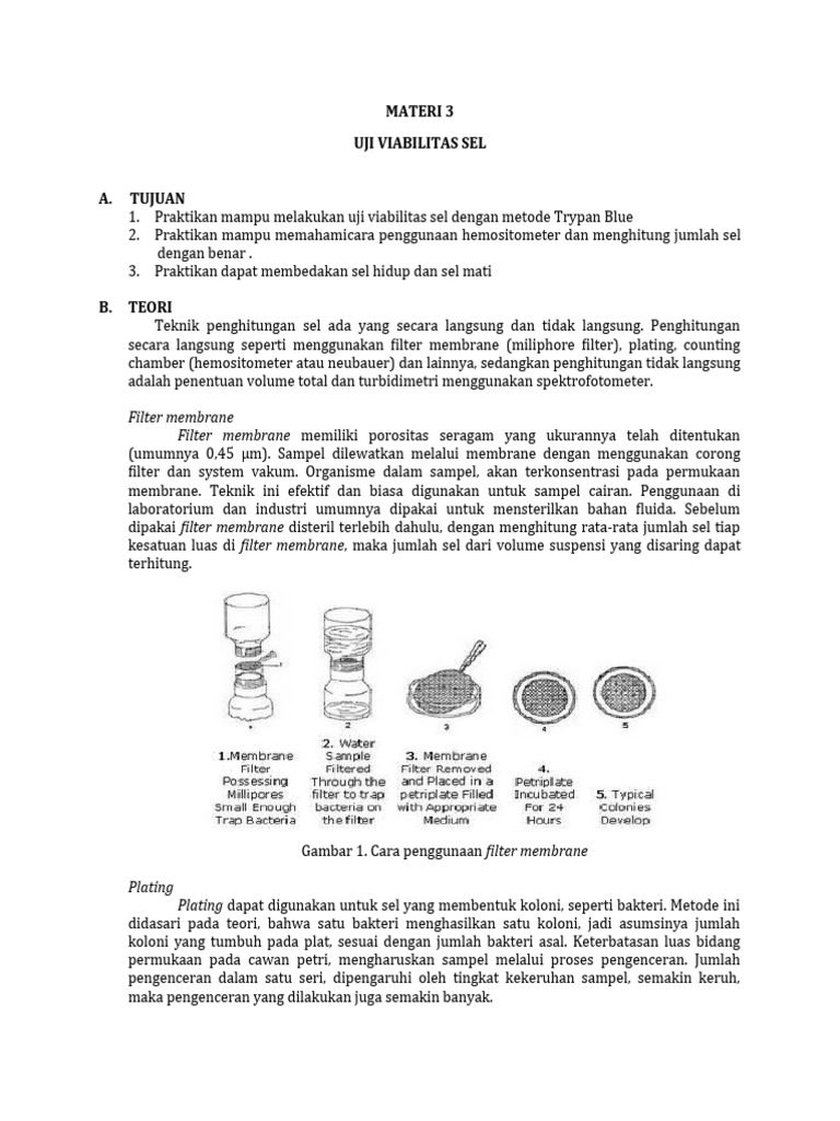 MATERI 3 Viabilitas Sel | PDF