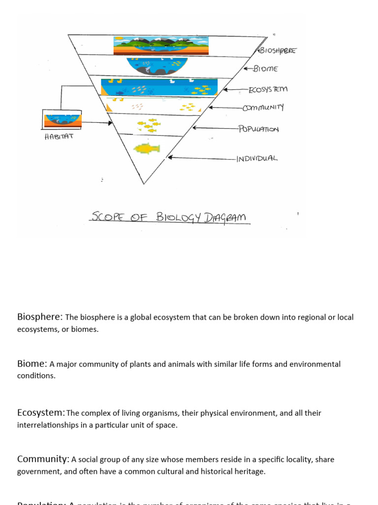 Levels in The Biosphere | PDF