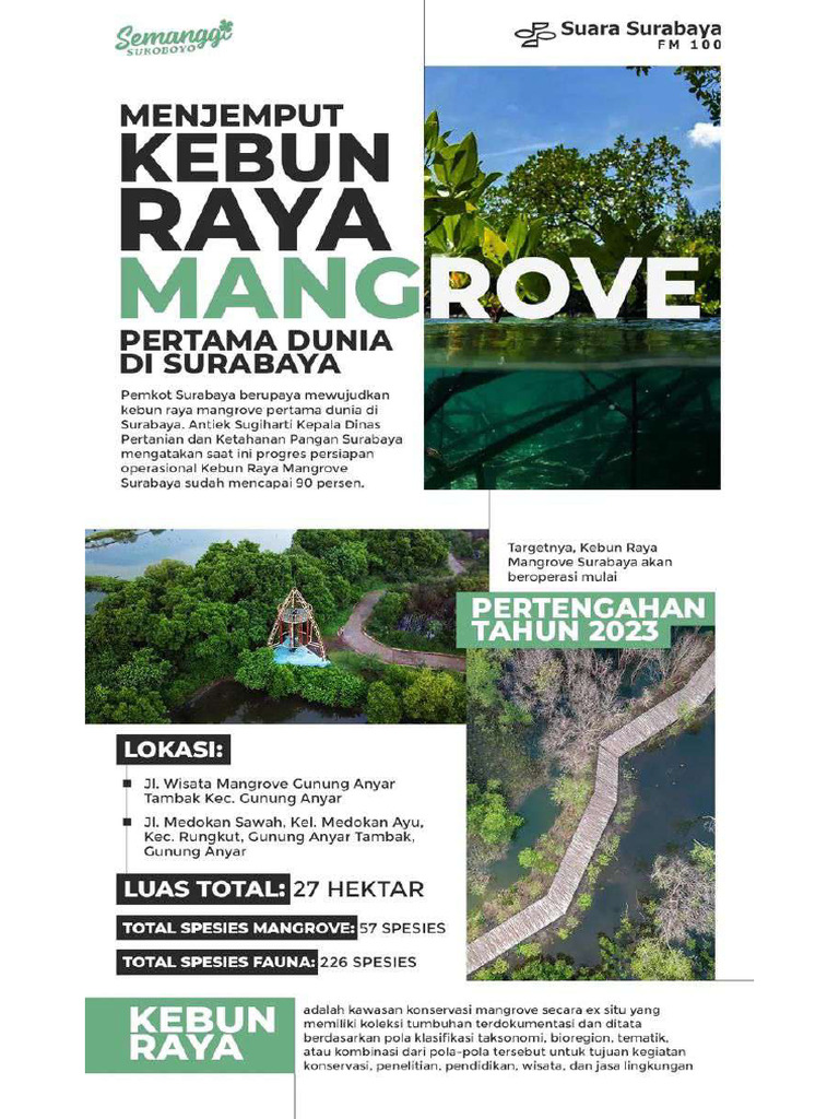Kebun Raya Mangrove Pertama Di Dunia Ada Di Surabaya | PDF