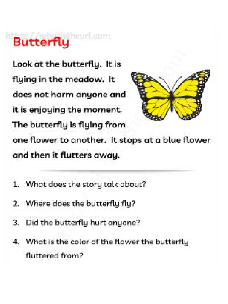 Butterfly Story Answer | PDF