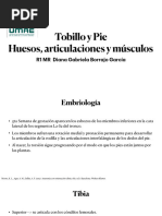 Anatomía del Maléolo Interno del Tobillo | PDF | Tobillo | Anatomía del ...
