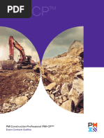 PMP Examination Content Outline - 1 | PDF