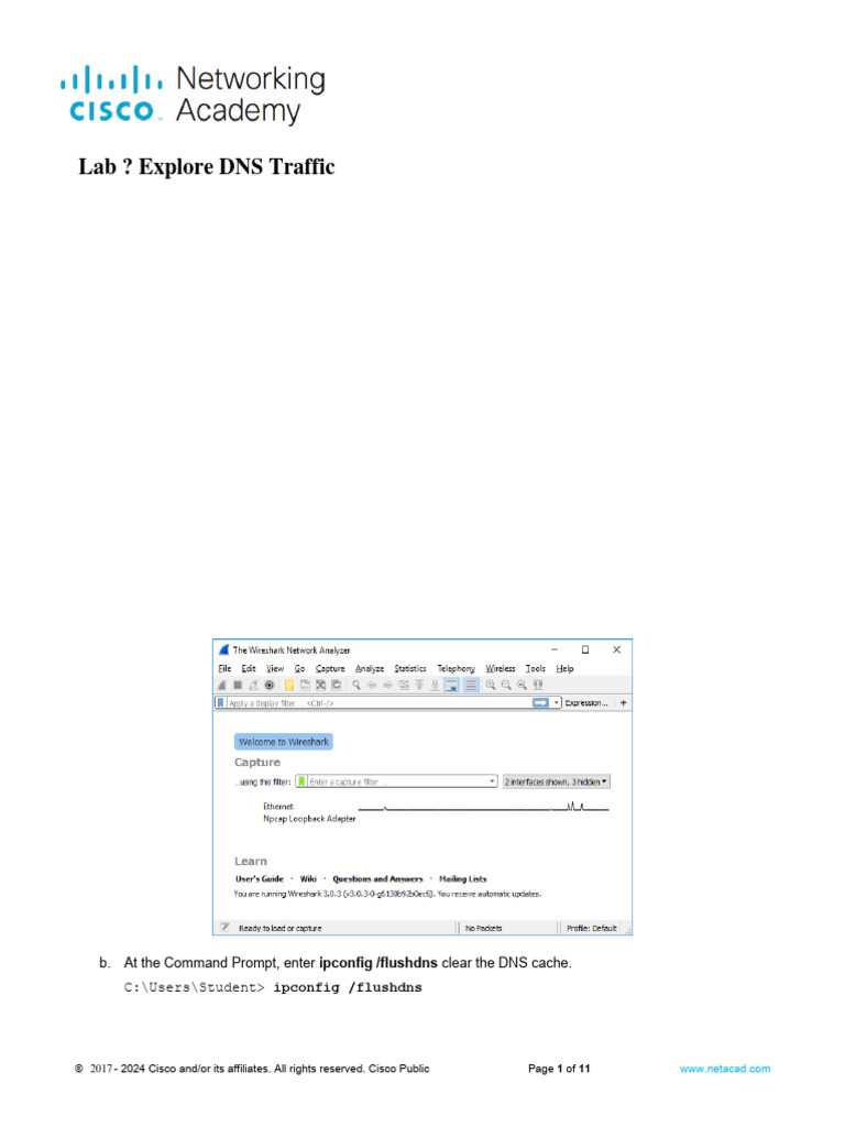 W3 3.8.8 Lab - Explore DNS Traffic | PDF | Domain Name System | Ip Address