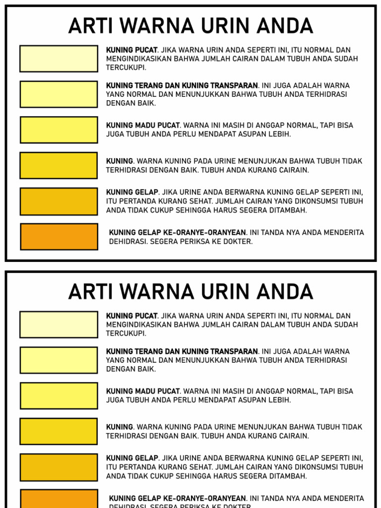 Arti Warna Urin Anda | PDF