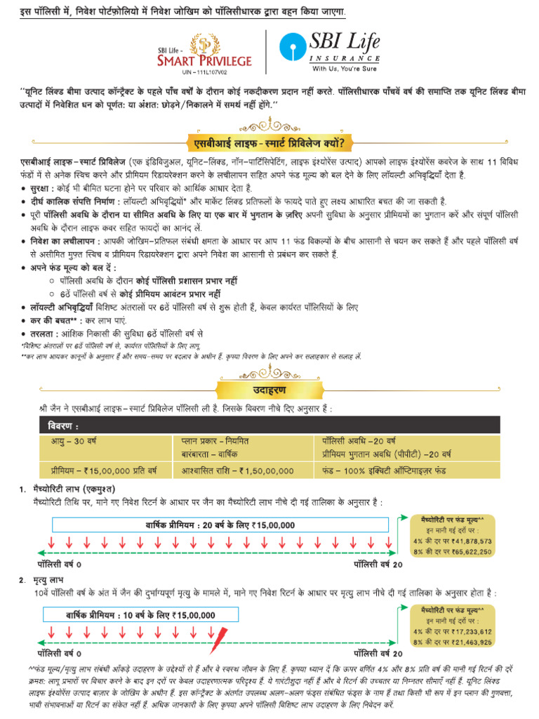 Smart Privilege - One Pager - Hindi | PDF