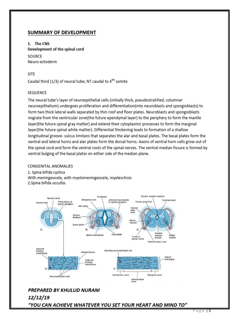 Embryology Summary of Development Part 1 - 2019 - CNS, Axial SK, SK ...