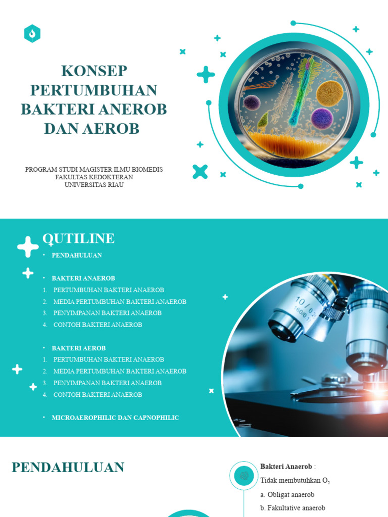 Pertumbuhan Bakteri Aerob dan Anaerob | PDF
