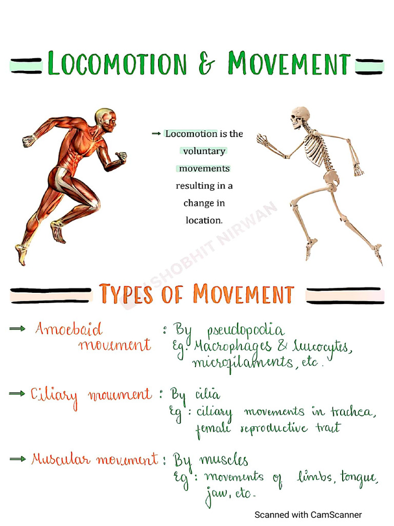 Locomotion and Movement | PDF