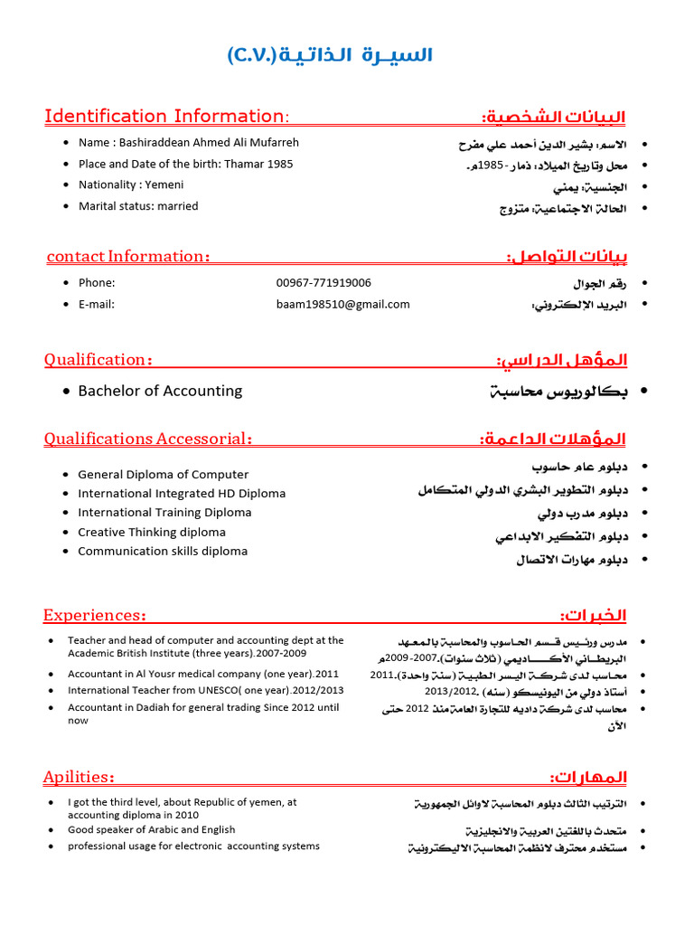 CV Bashir Mufarreh-Financial Accountant | PDF