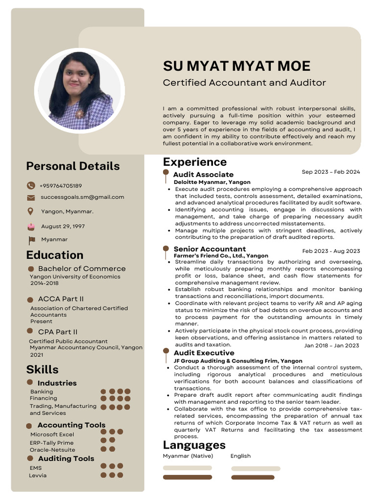 CV SMMM | PDF | Audit | Accounting