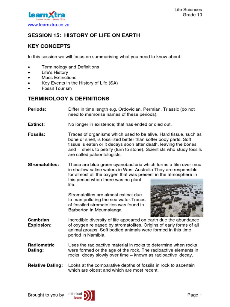 History of Life On Earth Notes 1 | PDF