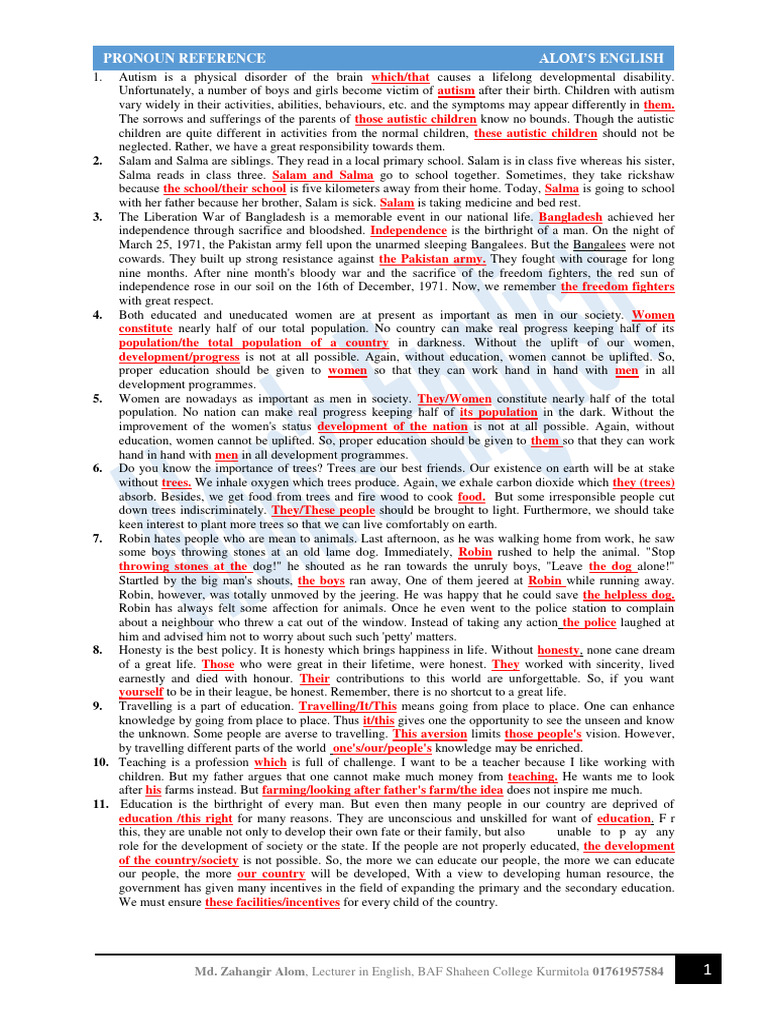 Pronoun Reference Practice Answer | PDF | Autism Spectrum