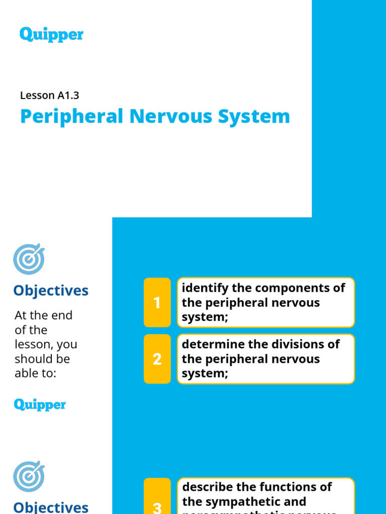 Science 10 A1.3 Peripheral Nervous System | PDF | Nervous System | Nerve