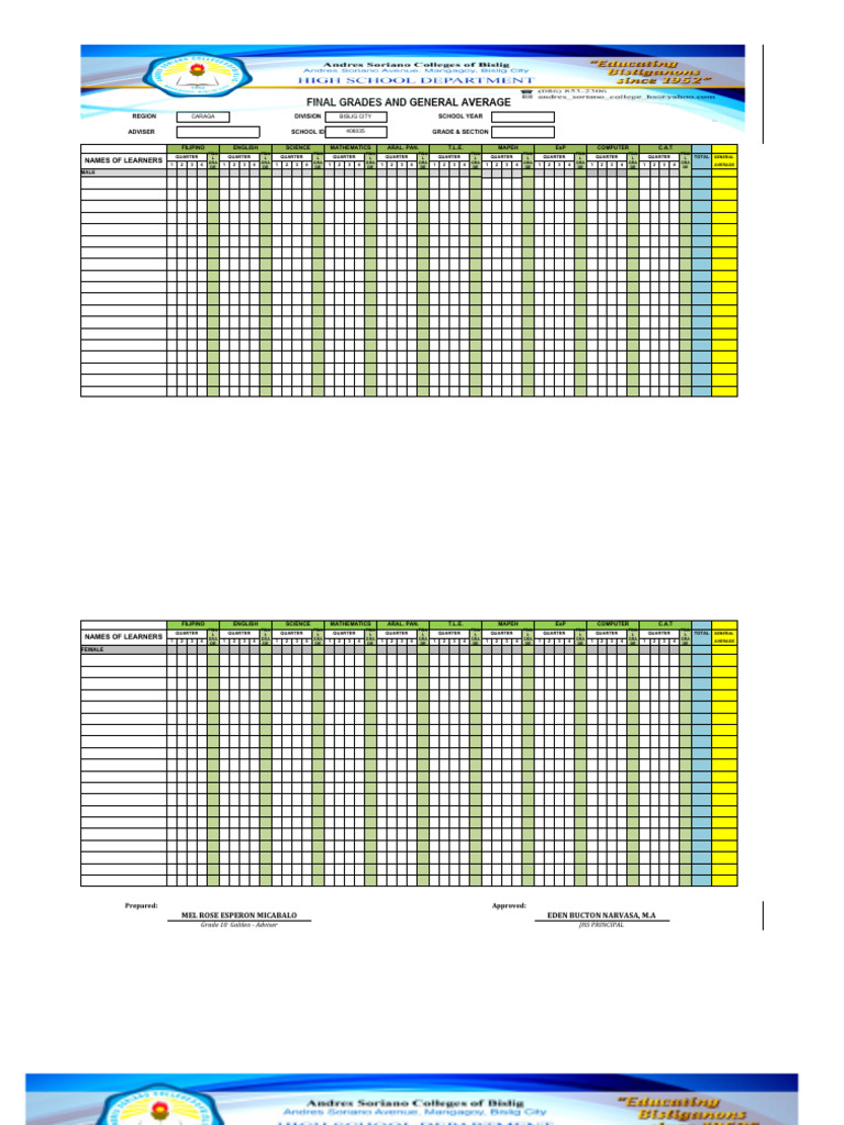 Rating Sheet Da Vinci | PDF