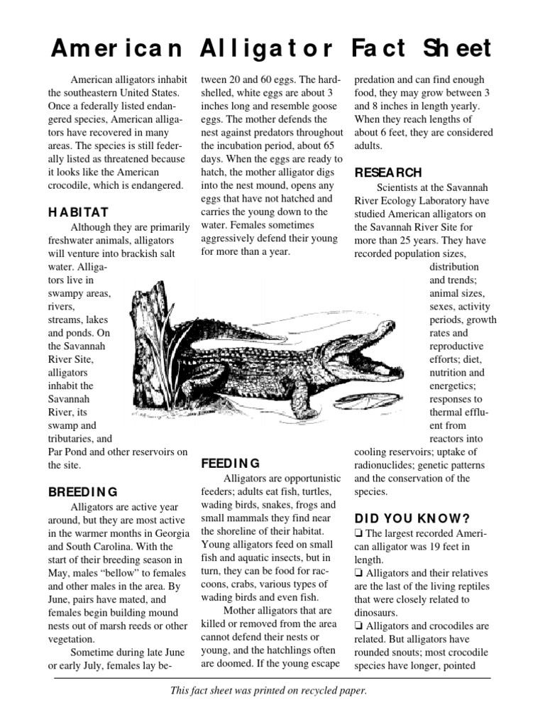 Alligator FS | PDF | Crocodile | Organisms