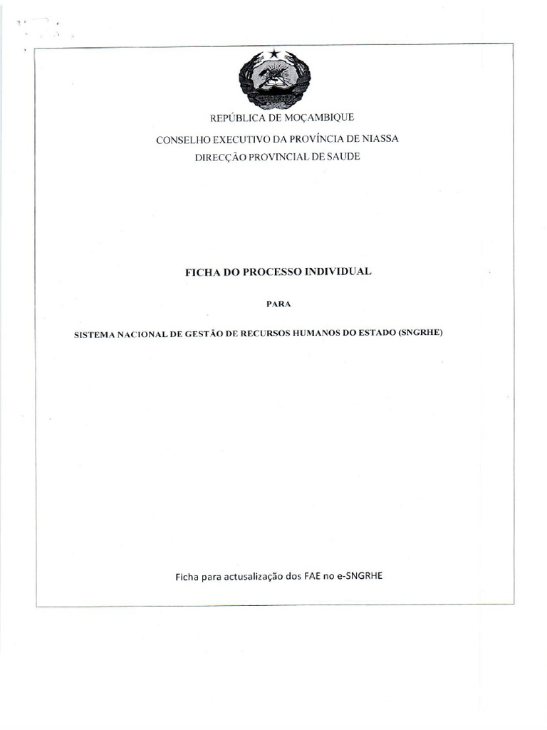Ficha de Processo Individual | PDF
