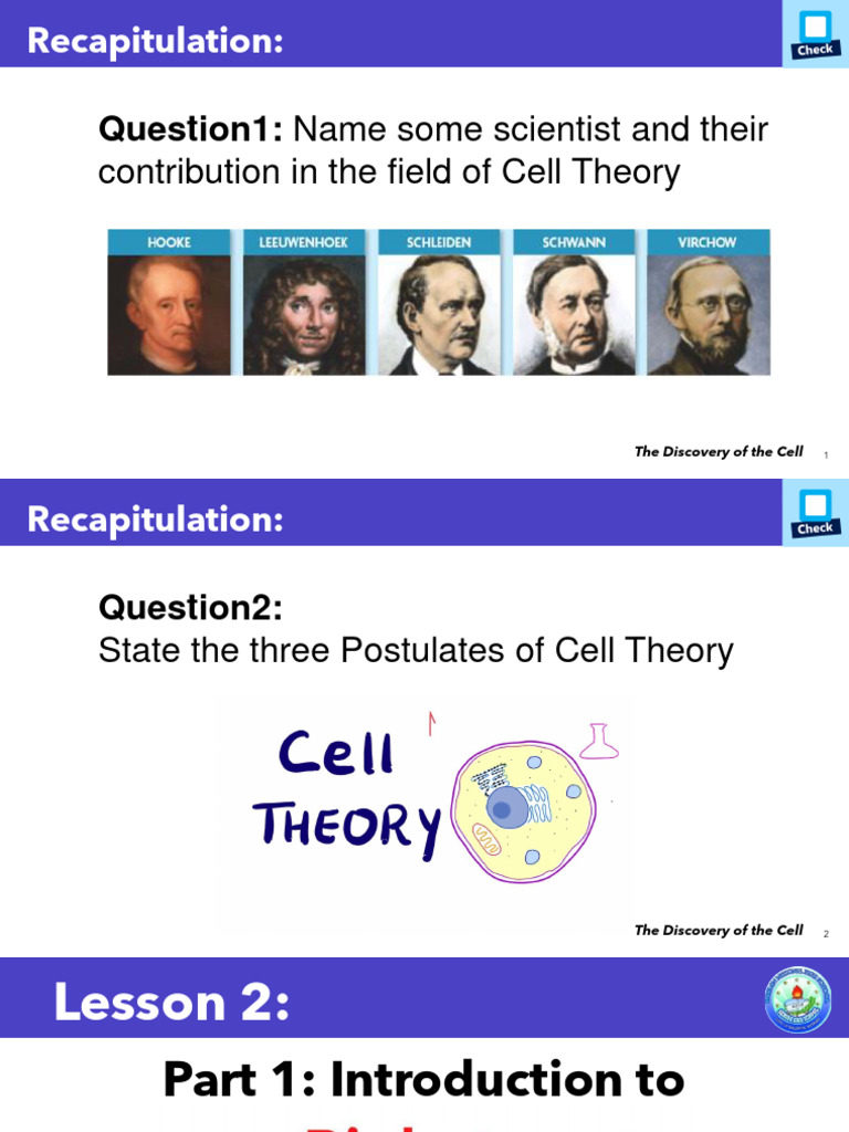 Cell Theory and Structure Overview | PDF | Cell (Biology) | Endoplasmic ...