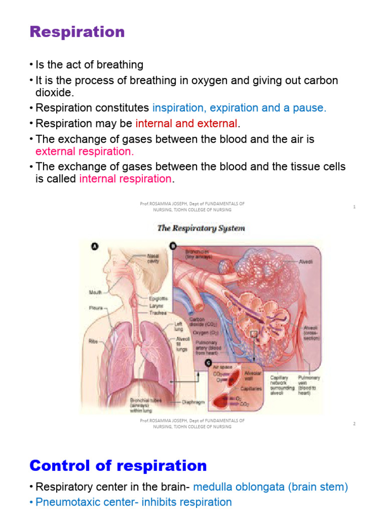 Assessment of Respiration | PDF | Respiratory System | Breathing