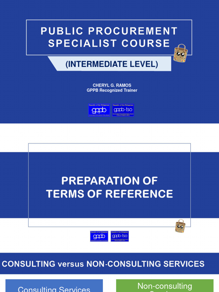 TOR Consulting | PDF | Consultant | Time