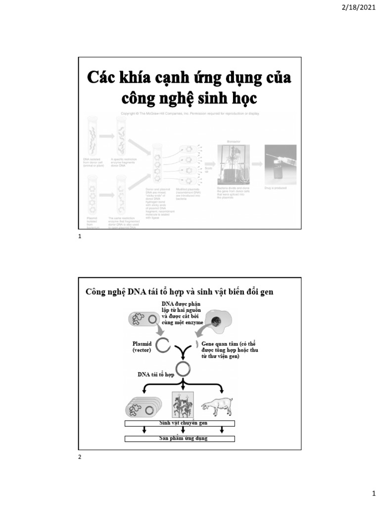 Atsh 2 GMOs 2021 | PDF