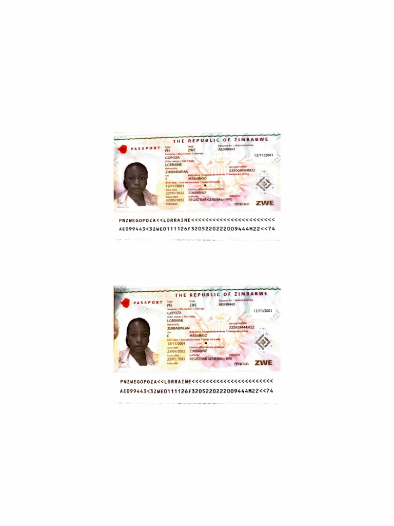 Passport | PDF