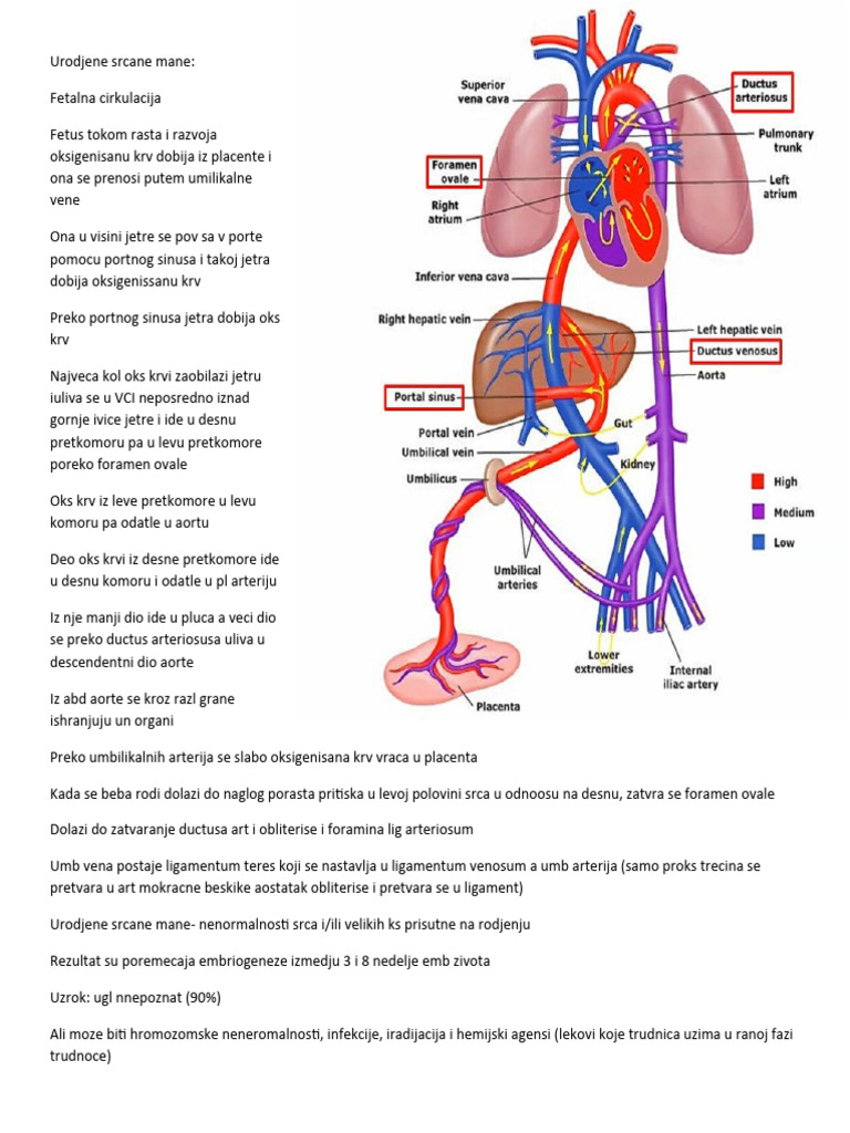 Urodjene Srcane Mane | PDF