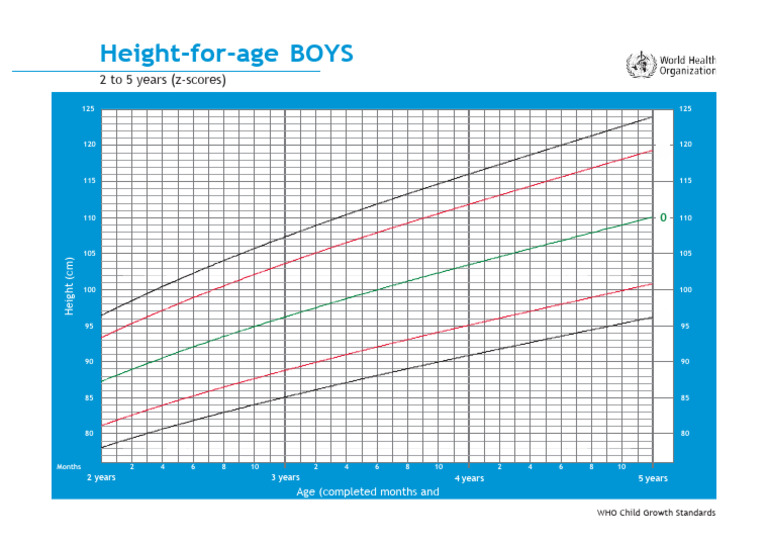 BOYS (2-5) Hfa Chart-Z Scores | PDF
