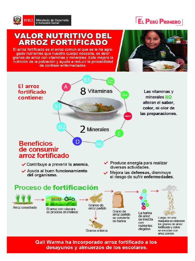 Afiche de Arroz Fortificado | PDF