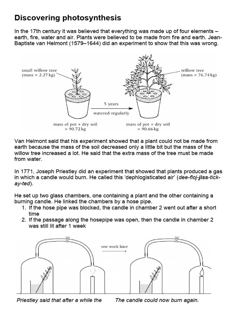 History of Photosynthesis Discoveries | PDF | Photosynthesis | Nature