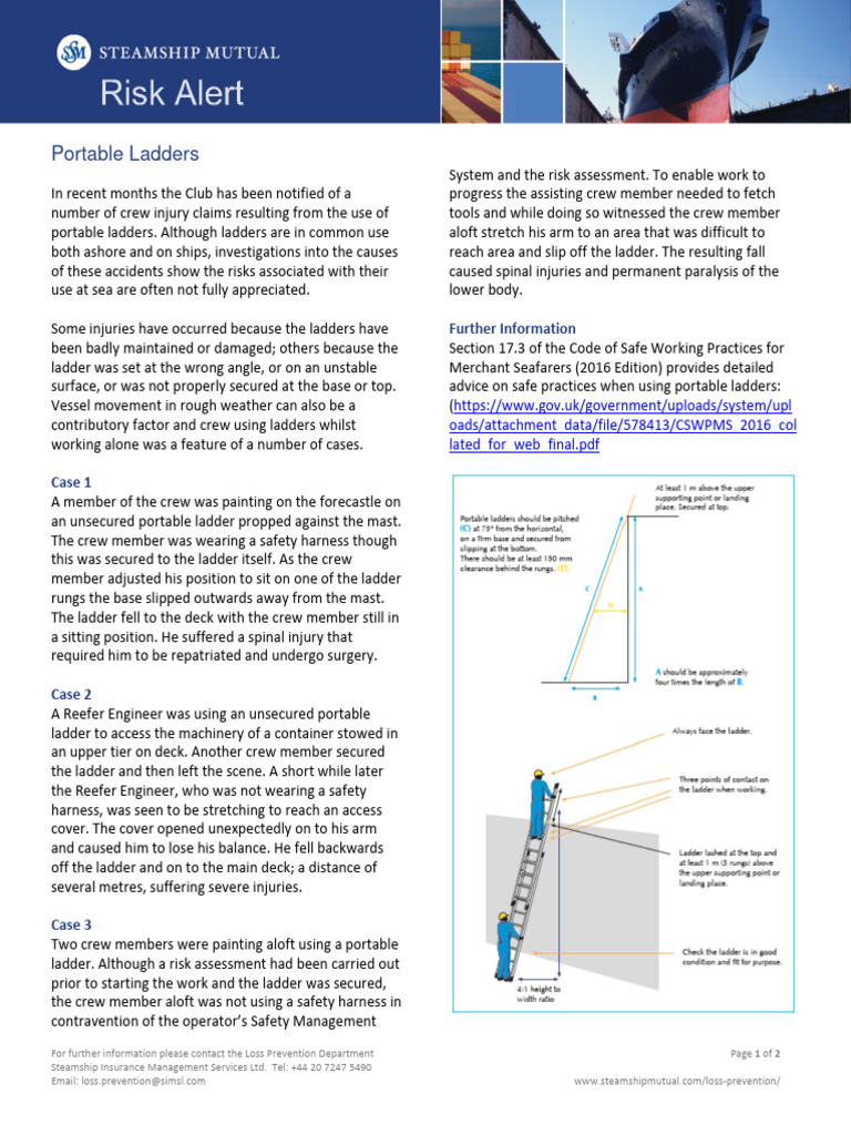 RA58 Portable Ladders | Download Free PDF | Ladder