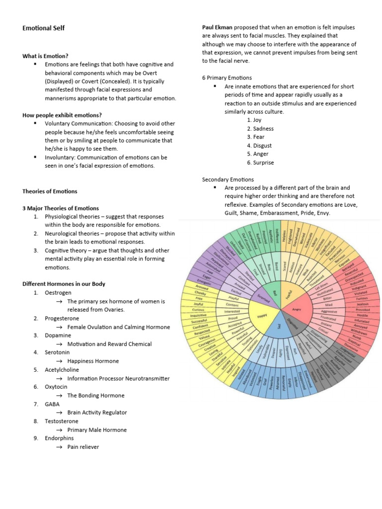 Emotional Perspective of The Self | PDF | Emotions | Psychology