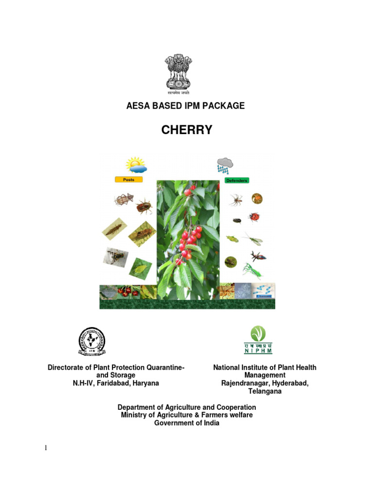 Cherry | PDF | Pest (Organism) | Soil