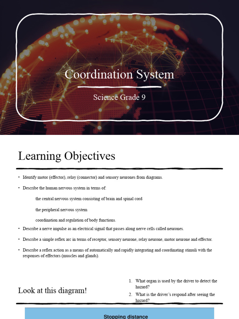 Coordination System | PDF | Nervous System | Neuron