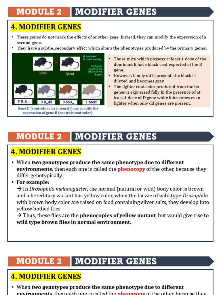 M2P3 Mendelian Non Mendelian Genetics Part3 | PDF | Dominance (Genetics ...