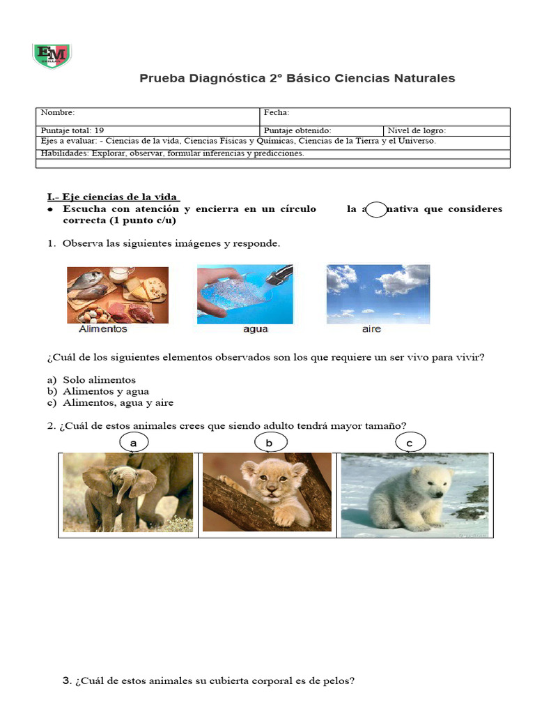 Diagnostico 2º Ciencias Naturales | PDF | Dom | Alimentos