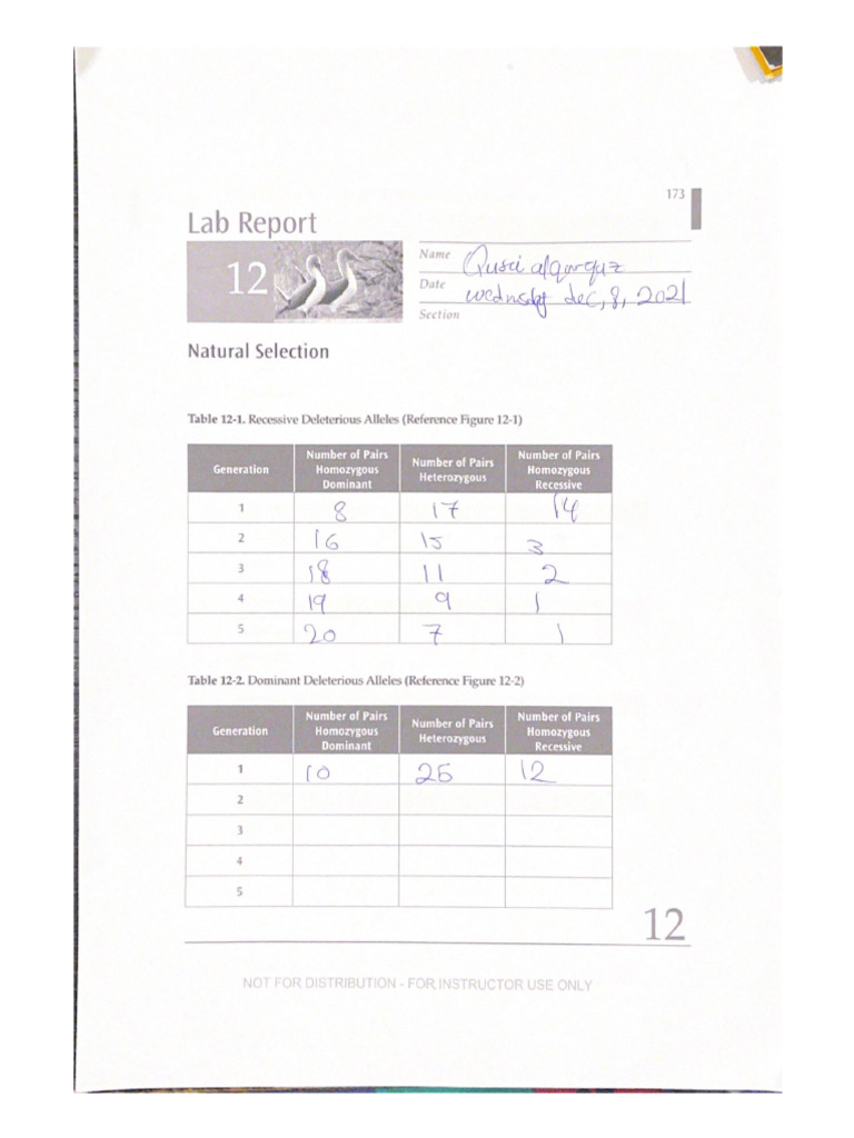 Lab Report 12 | PDF