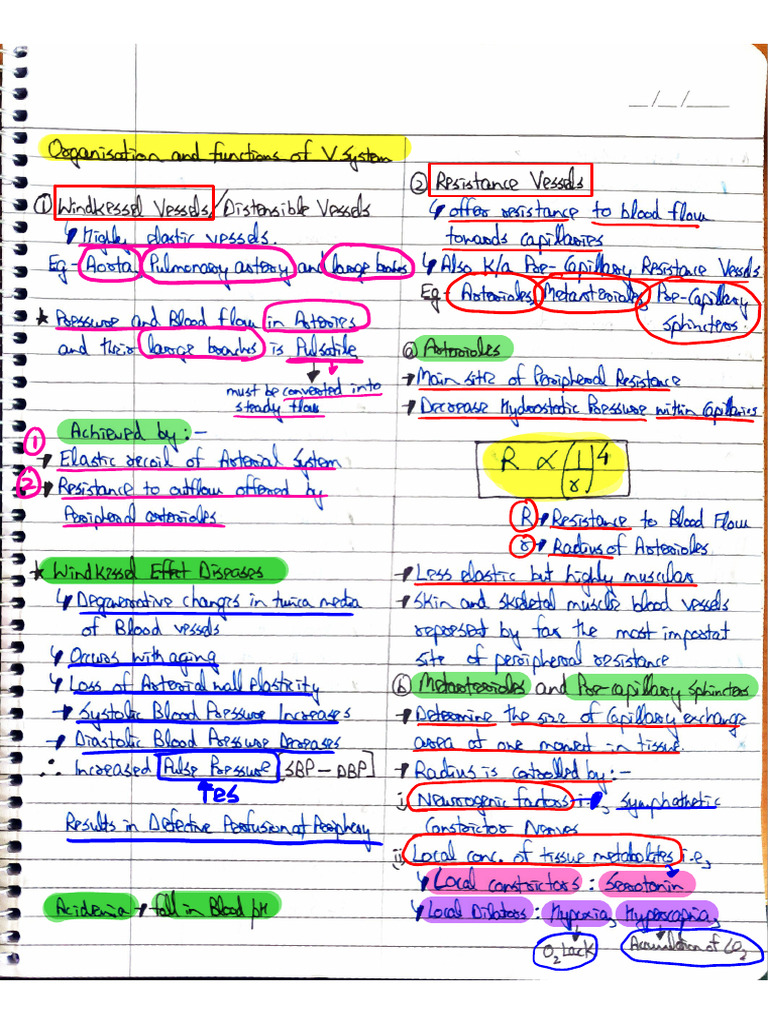 CVS | PDF
