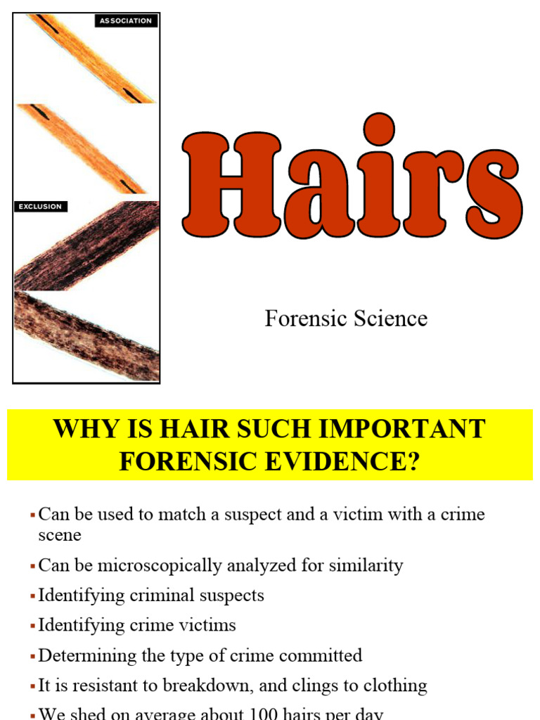 Hair | PDF | Hair | Crime Scene