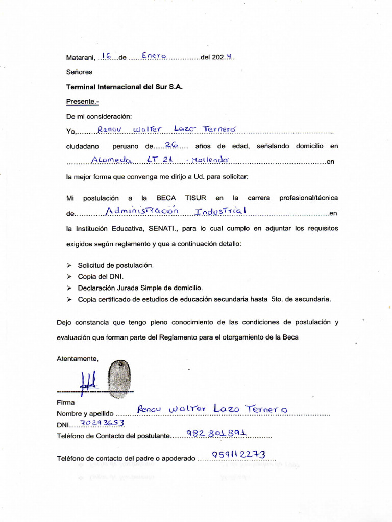 Solicitud | PDF | Gobierno