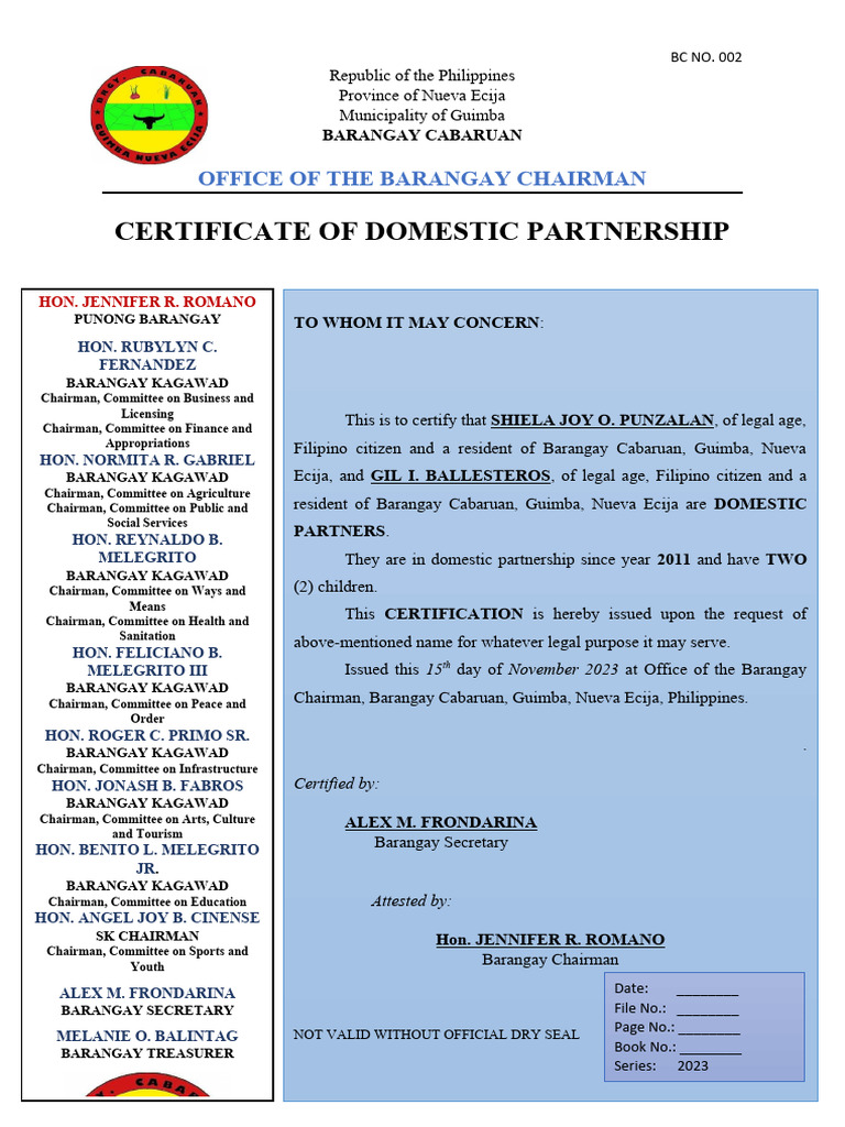 Domestic Partnership | PDF