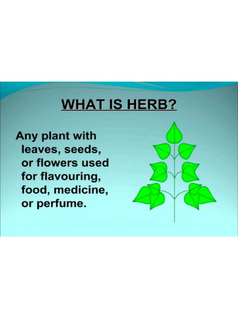Herbal Unit 1 | PDF