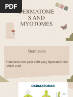 Peta Dermatome dan Inervasi Kulit | PDF