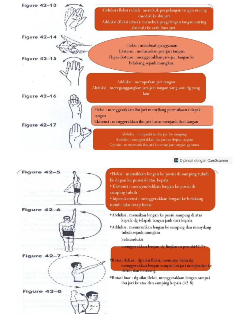 Pemeriksaan ROM | PDF