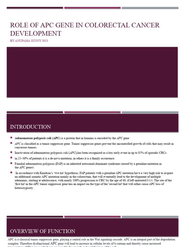 APC Gene's Role in Colorectal Cancer | PDF | Colorectal Cancer | Human ...