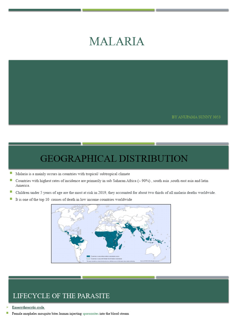 Malaria | PDF | Malaria | Plasmodium Falciparum