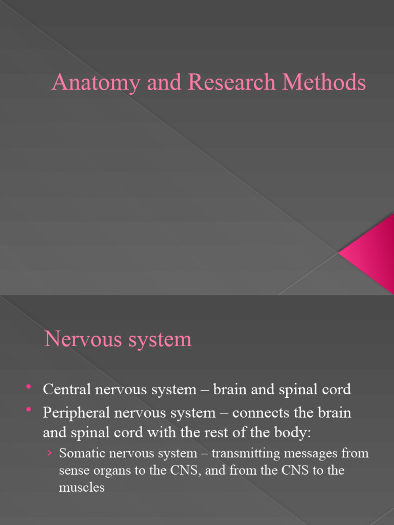 Anatomy and Research Methods | PDF | Nervous System | Central Nervous ...
