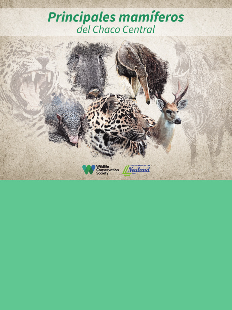 Principales Mamíferos Del Chaco Central - 2024 - Digital | PDF | Paraguay